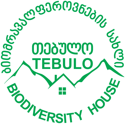 Tours, Overnight, Guiding, Hiking in Georgia – Explore the beauty of ...